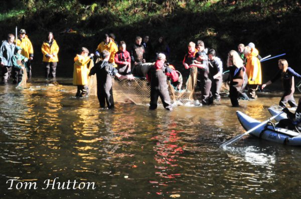 Bandon High School Biology Class – Millicoma Fish Hatchery – Community Plus