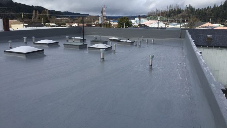 Aspiring Entrepreneurs: Elevate Your Business with Roseburg Roofing ...