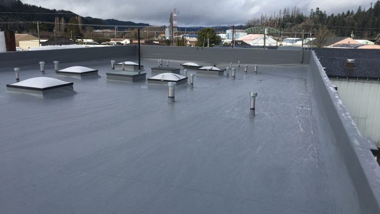 Aspiring Entrepreneurs: Elevate Your Business with Roseburg Roofing ...